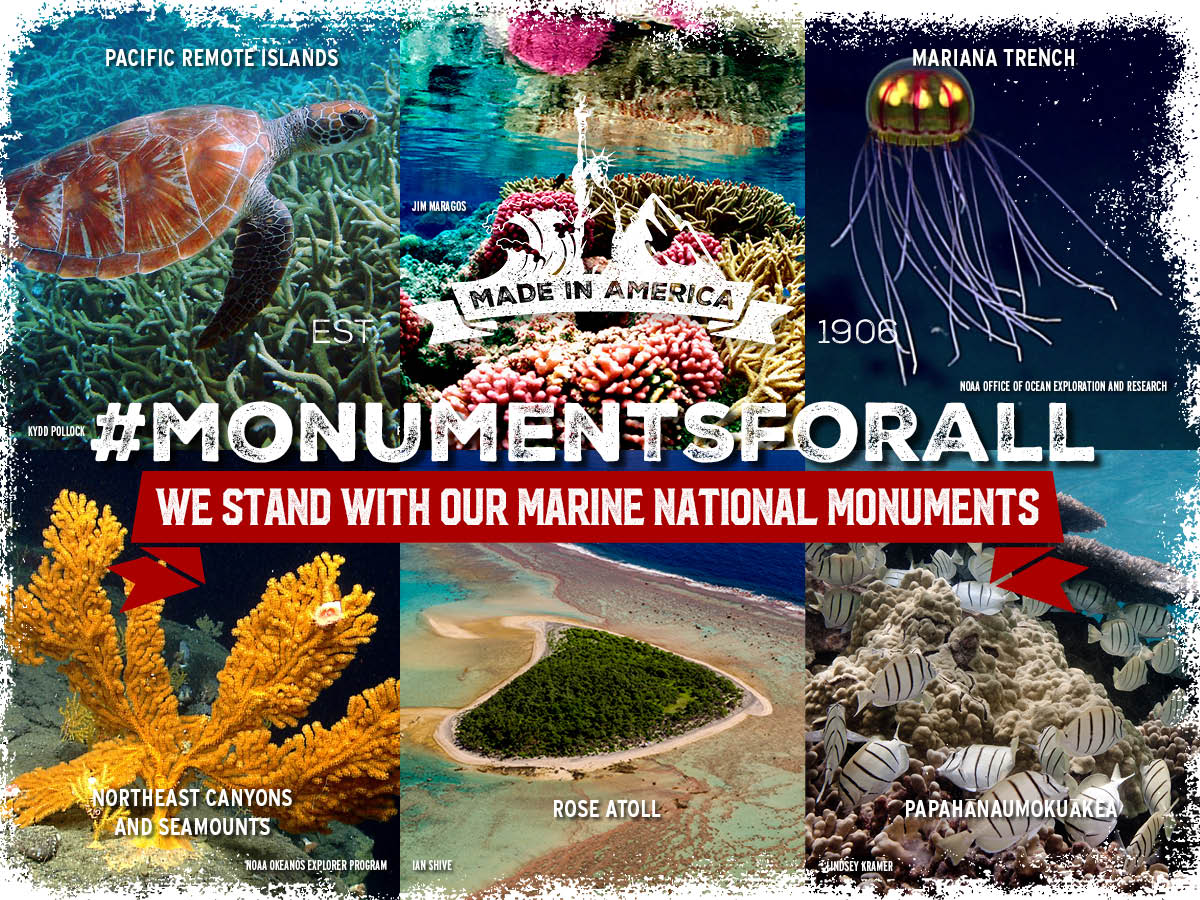 Marine_Monument-Collage-6 (2) - Monuments for All
